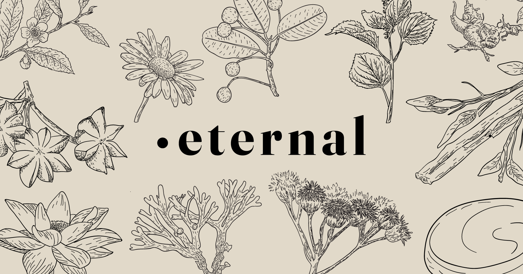 Danh Mục Sản Phẩm | Mỹ Phẩm Eternal Dermocosmetics